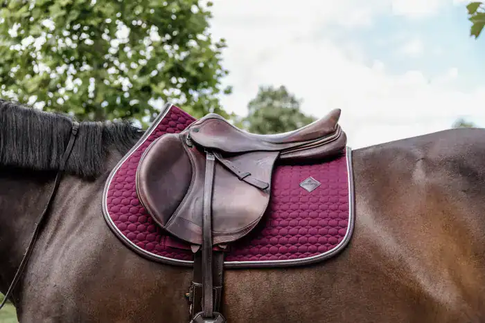 Kentucky Horsewear sviedrene Classic Leather - IPPEAS